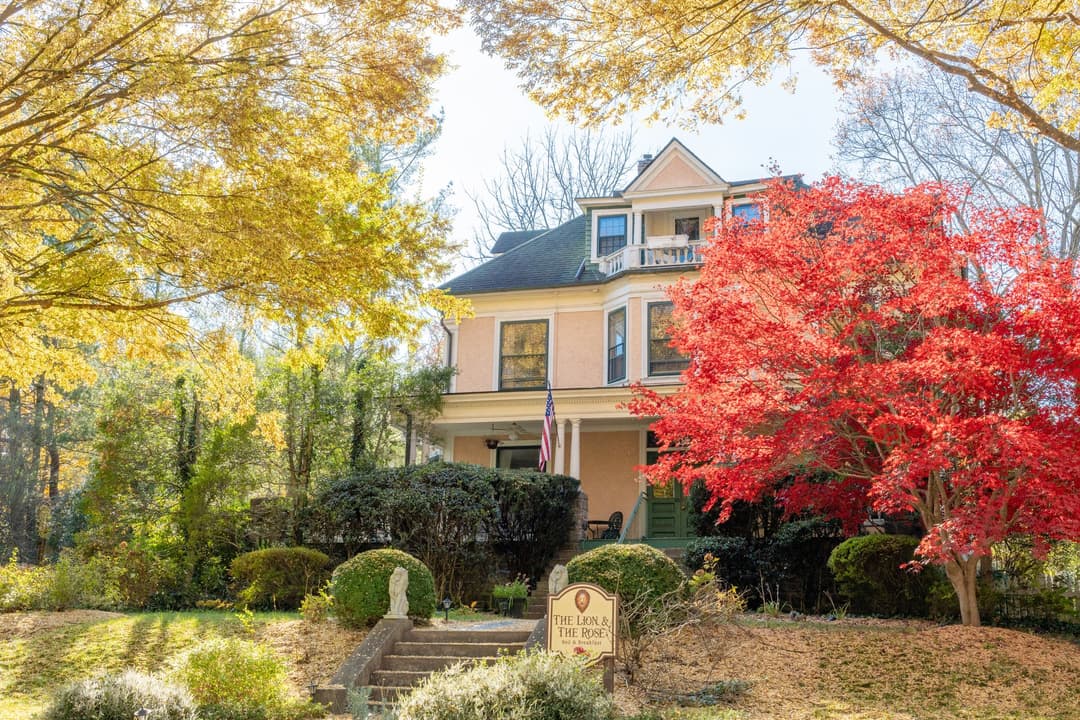 Visit Asheville | Explore Asheville